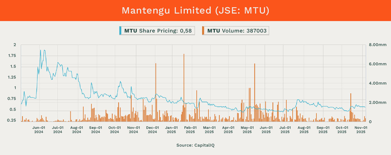JSE takes Mantengu to court over wild ‘syndicate’ claims - Currency News